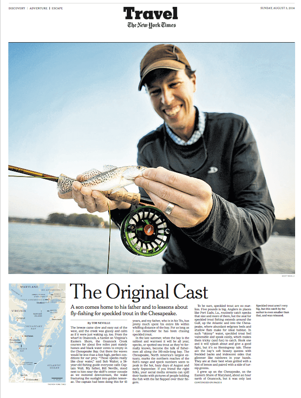 Tim Neville – Writing from around the world